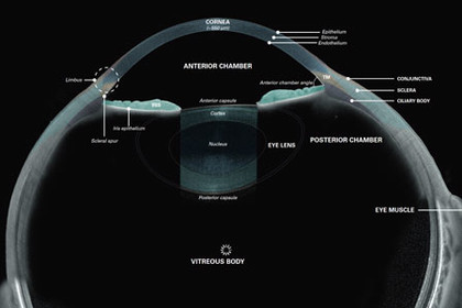 Medical Devices for Ophthalmologists / Optometrists | Heidelberg ...